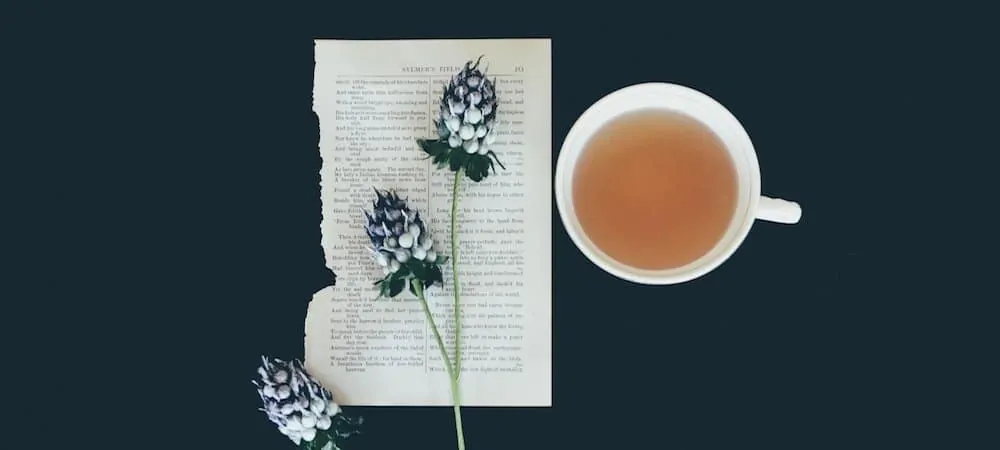 30 Most Common Tea Questions | Kent Tea & Coffee Co