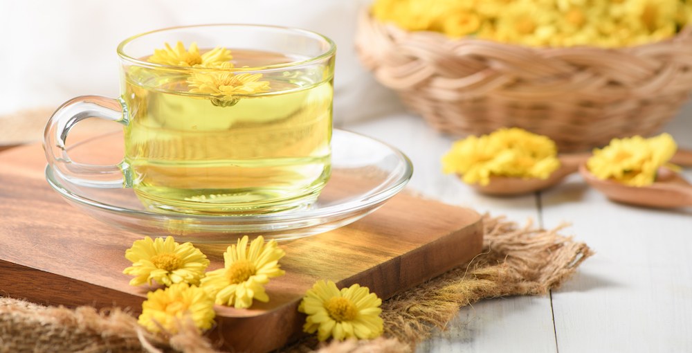 Chrysanthemum Tea Benefits | Kent Tea & Coffee Co