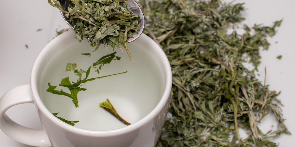Mugwort Tea Benefits & Side Effects | Kent Tea & Coffee Co