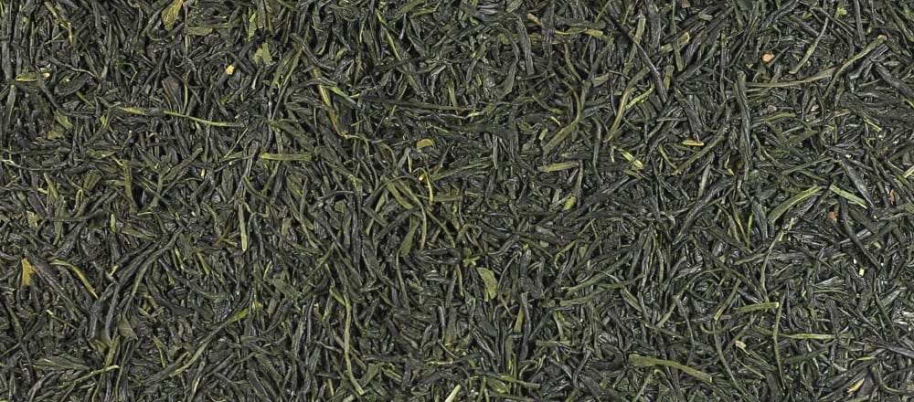 Different Green Tea Types "Explained" | Kent Tea and Coffee Co
