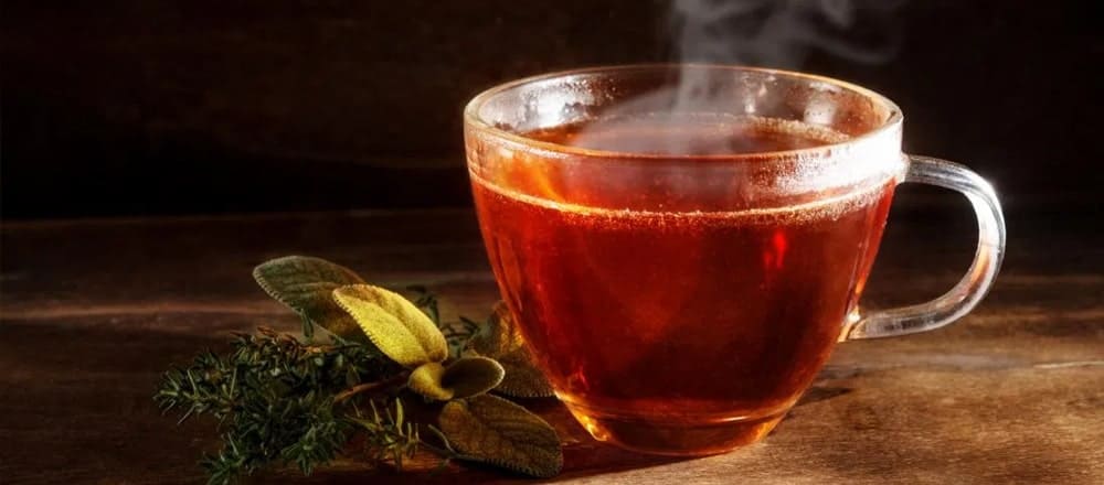 Best Tea for Immune System Health | Kent Tea & Coffee Co
